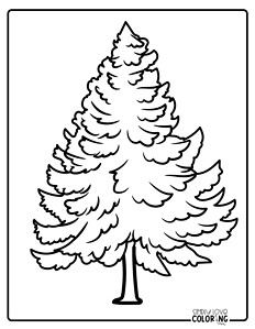 Majestic Nature Coloring Pages (Free PDF Printables) - Simply Love Coloring