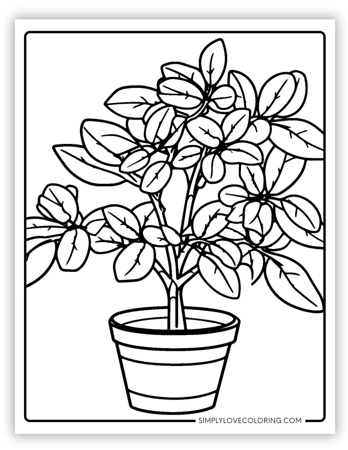 31 Pretty Plants Coloring Pages (Free PDF Printables) - Simply Love ...