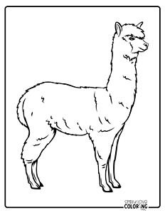 19 Llama Coloring Pages (Free PDF Printables) - Simply Love Coloring