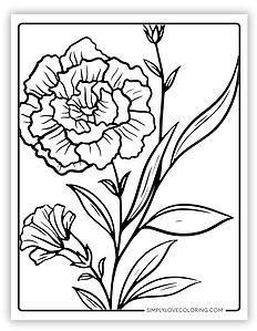 15 Carnation Flower Coloring Pages (Free PDF Printables) - Simply Love ...
