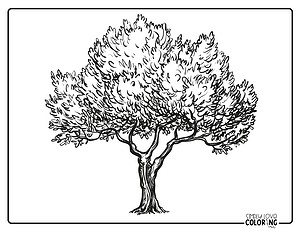 Majestic Nature Coloring Pages (Free PDF Printables) - Simply Love Coloring