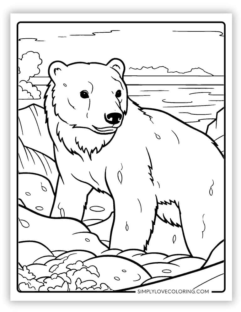 Polar Bear Coloring Pages (Free PDF Printables) - Simply Love Coloring