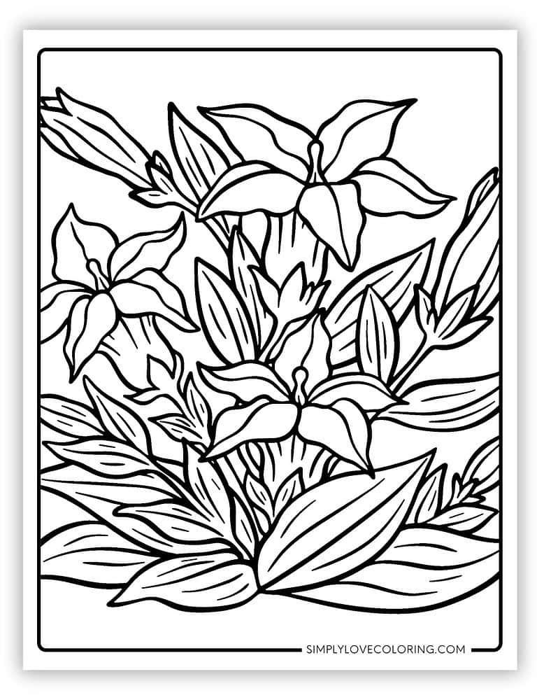 31 Pretty Plants Coloring Pages (Free PDF Printables) - Simply Love ...