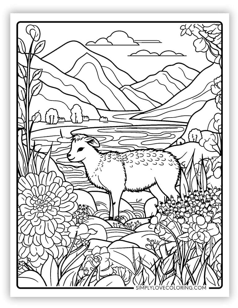20 Sheep Coloring Pages (Free PDF Printables) - Simply Love Coloring