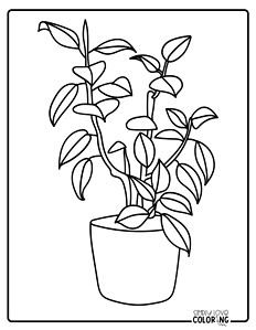 Plant Coloring Pages (Free PDF Printables) - Simply Love Coloring
