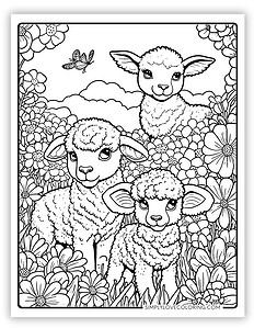 42 Lamb Coloring Pages (Free PDF Printables) - Simply Love Coloring