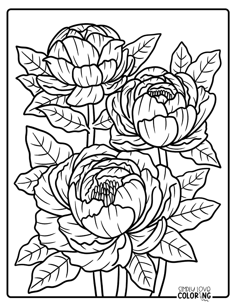 65 Beautiful Flower Coloring Pages (Free PDF Printables) - Simply Love ...