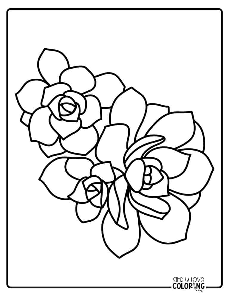 Succulent Plants Coloring Pages (Free PDF Printables) - Simply Love ...