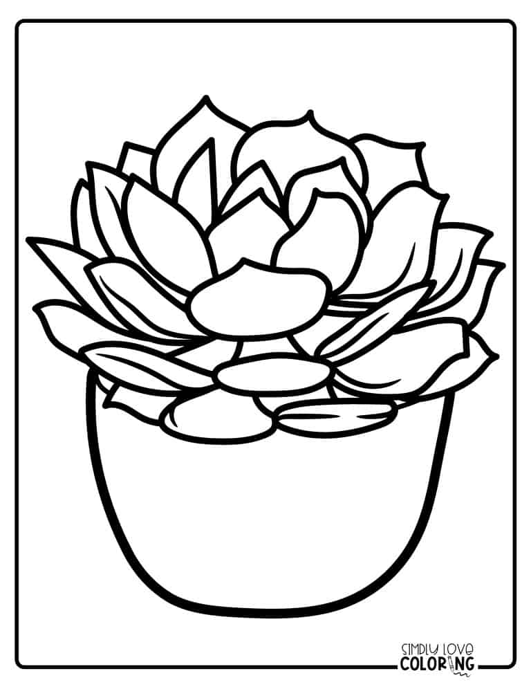 Succulent Plants Coloring Pages (Free PDF Printables) - Simply Love ...
