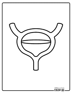 Human Body Coloring Pages (Free PDF Printables) - Simply Love Coloring