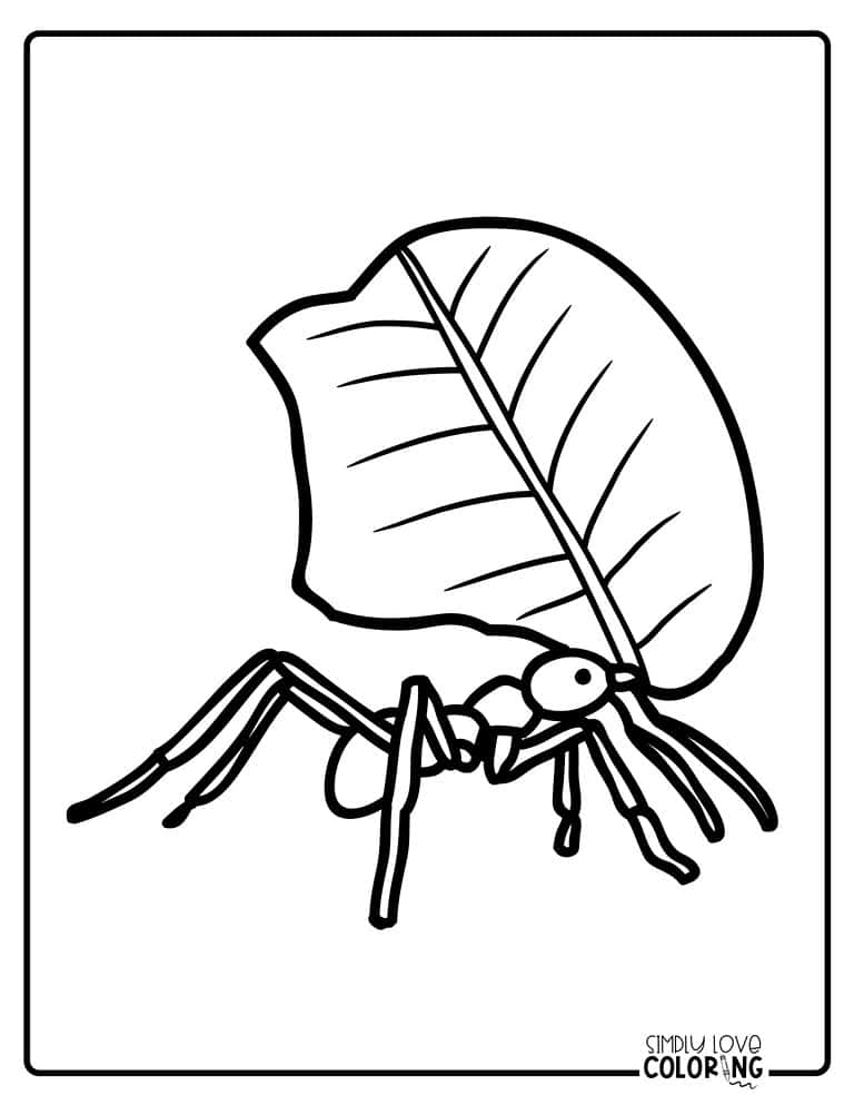 88 Cool Insects Coloring Pages (Free PDF Printables) - Simply Love Coloring