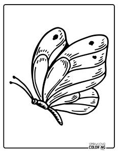 88 Cool Insects Coloring Pages (Free PDF Printables) - Simply Love Coloring