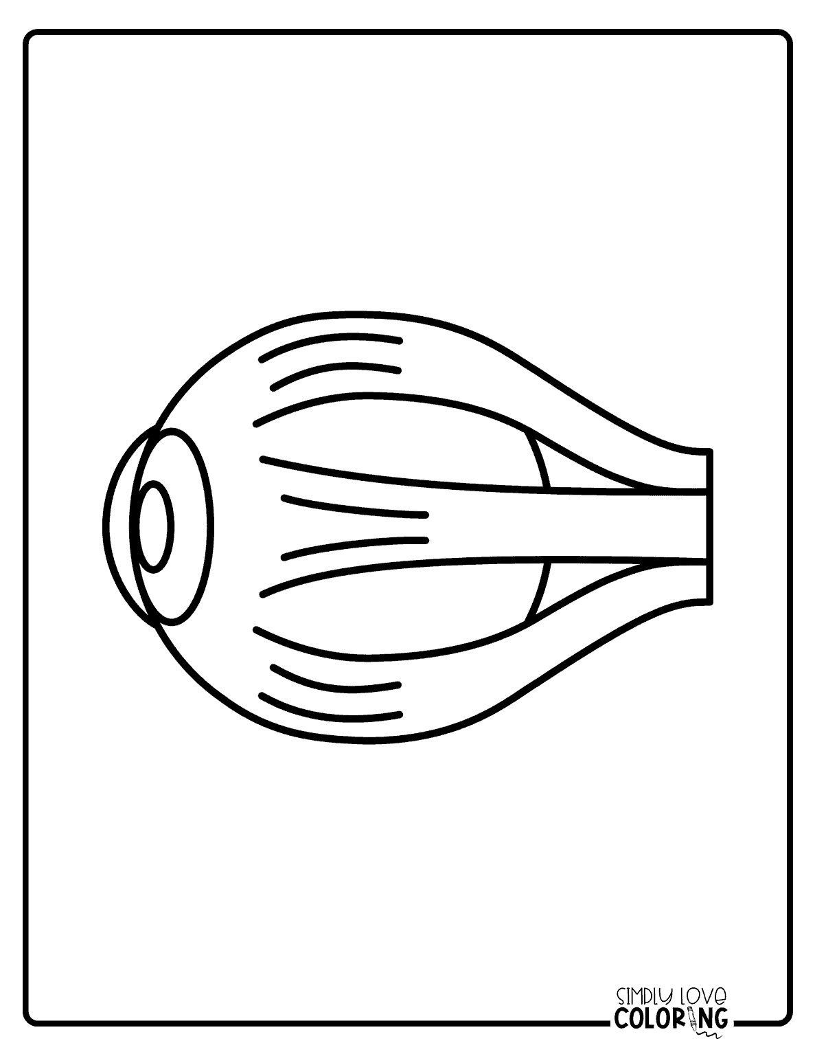 Human Body Coloring Pages (Free PDF Printables) - Simply Love Coloring