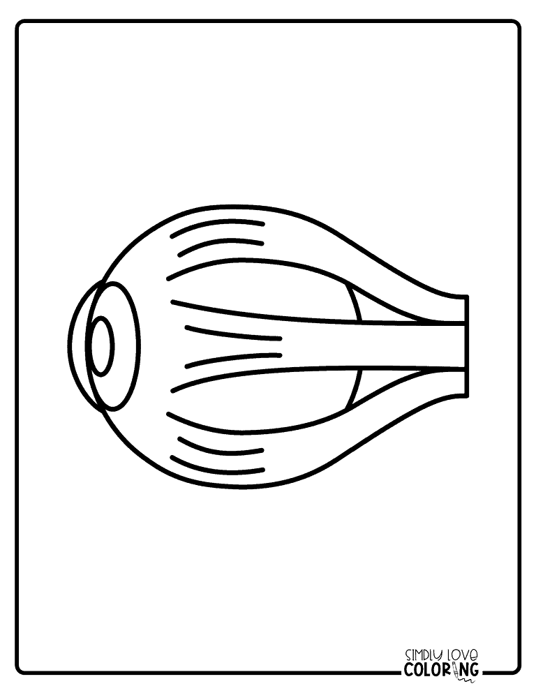 Human Body Coloring Pages (Free PDF Printables) - Simply Love Coloring
