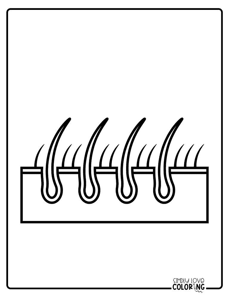 Human Body Coloring Pages (Free PDF Printables) - Simply Love Coloring