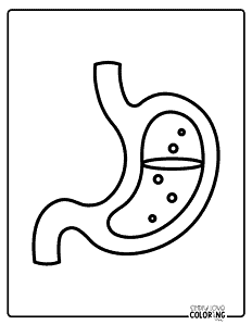 Human Body Coloring Pages (Free PDF Printables) - Simply Love Coloring