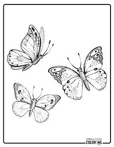 88 Cool Insects Coloring Pages (Free PDF Printables) - Simply Love Coloring