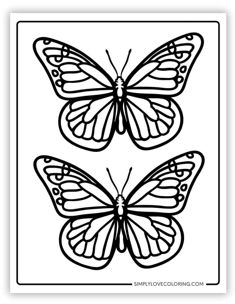 Butterfly Templates (Free PDF Downloads) - Simply Love Coloring