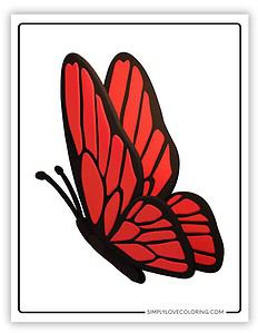 Butterfly Templates (Free PDF Downloads) - Simply Love Coloring
