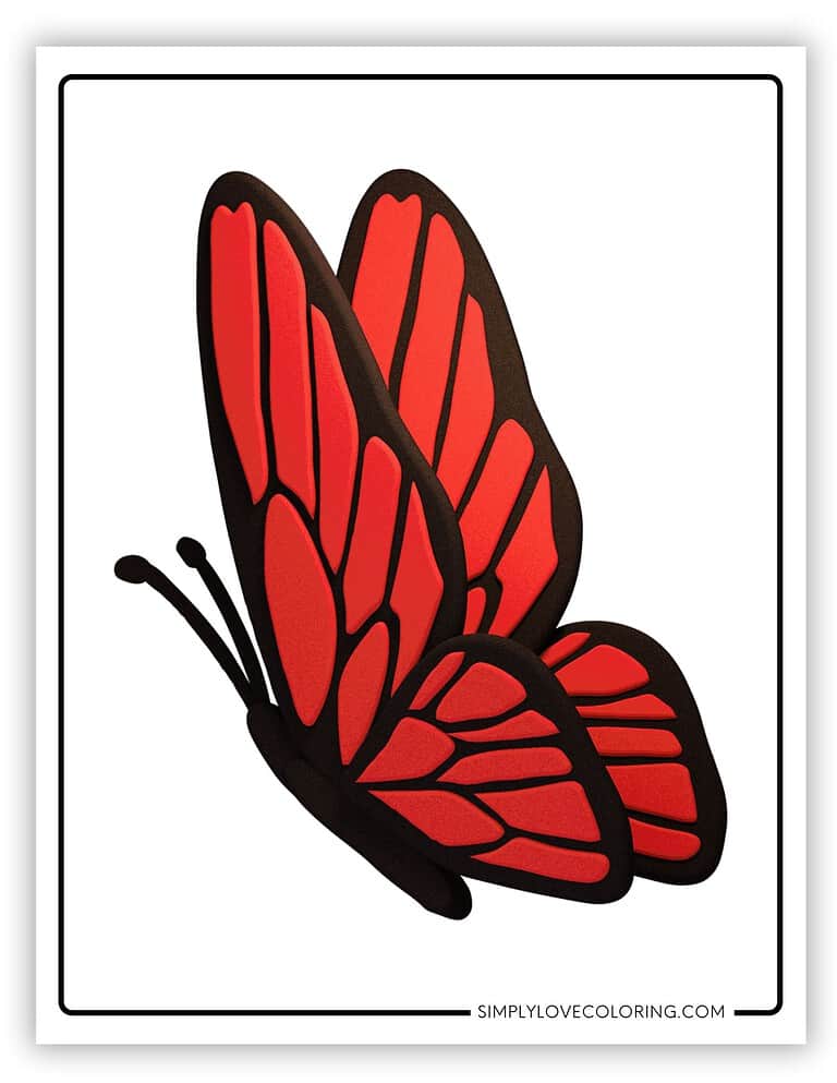 Butterfly Templates (Free PDF Downloads) - Simply Love Coloring