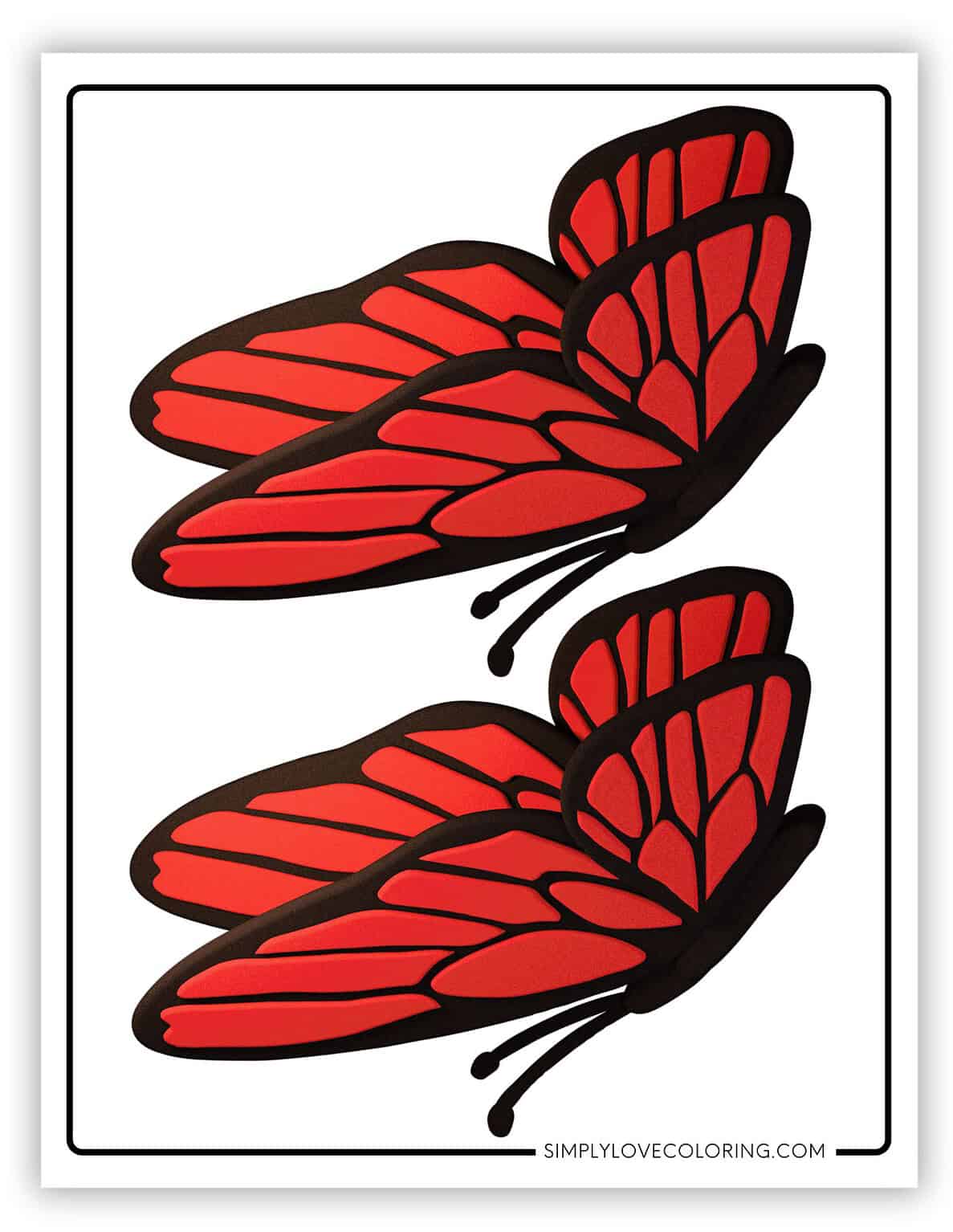 Butterfly Templates (Free PDF Downloads) - Simply Love Coloring
